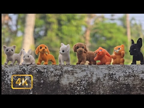 soo cute! baby pets and nature with real sound# - YouTube