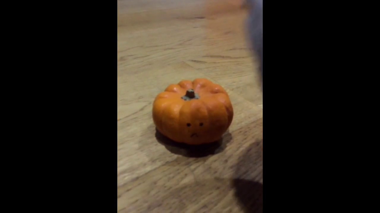 Dis My Little Pumpkin Friend - Part Two - YouTube