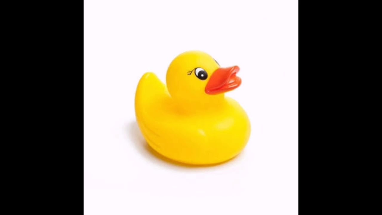 Rubber Duck Sound Effects - YouTube