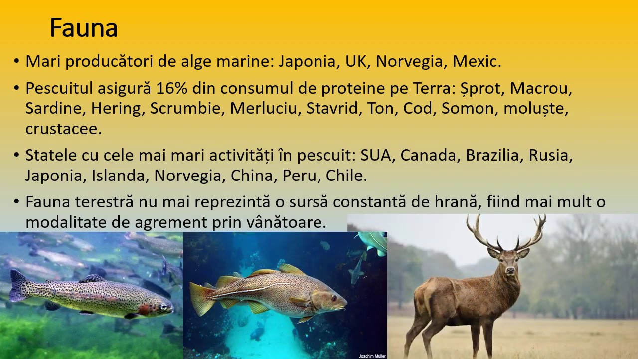 Resursele biosferei - YouTube