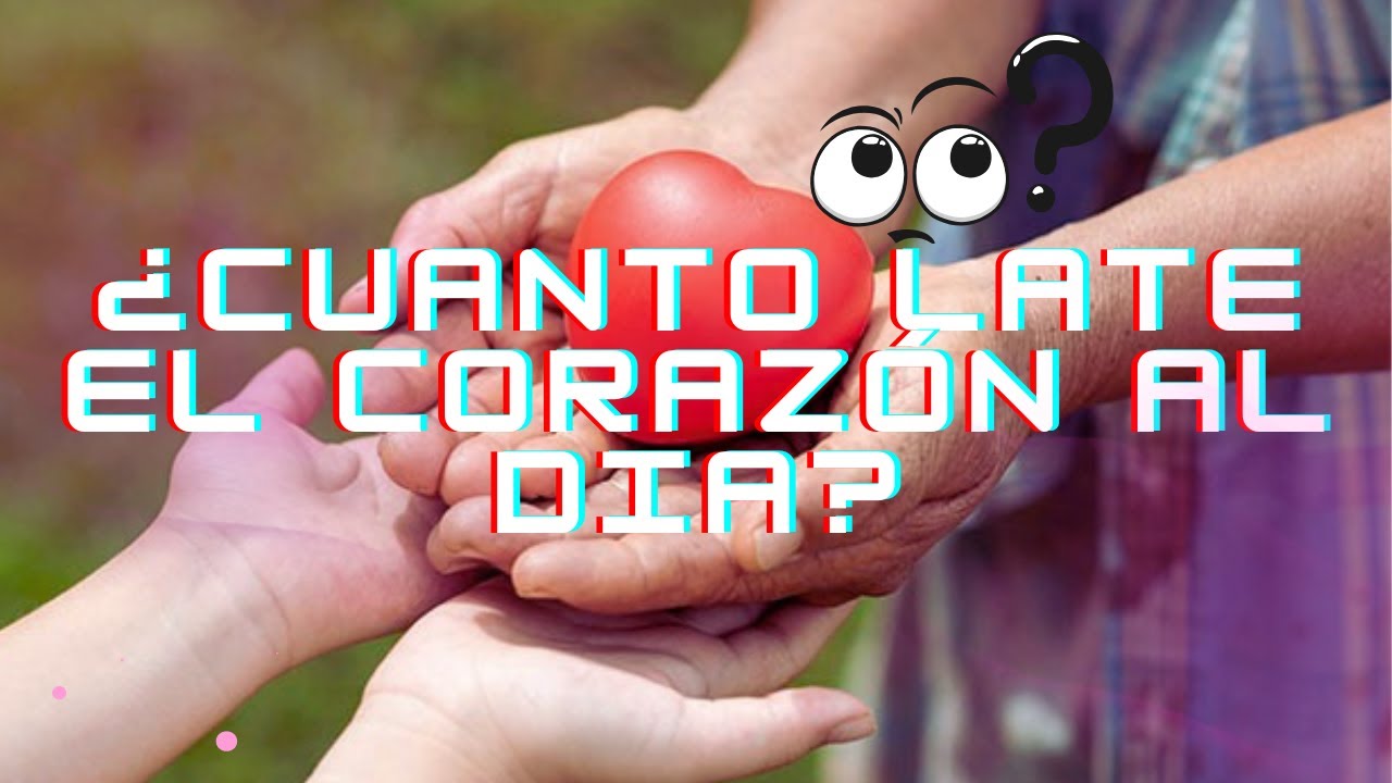 ¿Sabes cuanto late tu corazón al día? ️ l Datos Curiosos🥸 l ...