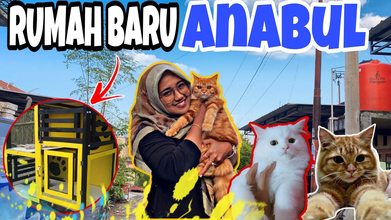 AKHIRNYA BISA BELI RUMAH ‼️BUAT ANABUL BIAR AMAN - YouTube