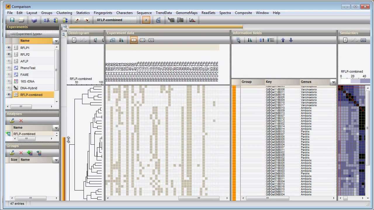 Combined analysis of fingerprint data (BioNumerics 7) - YouTube