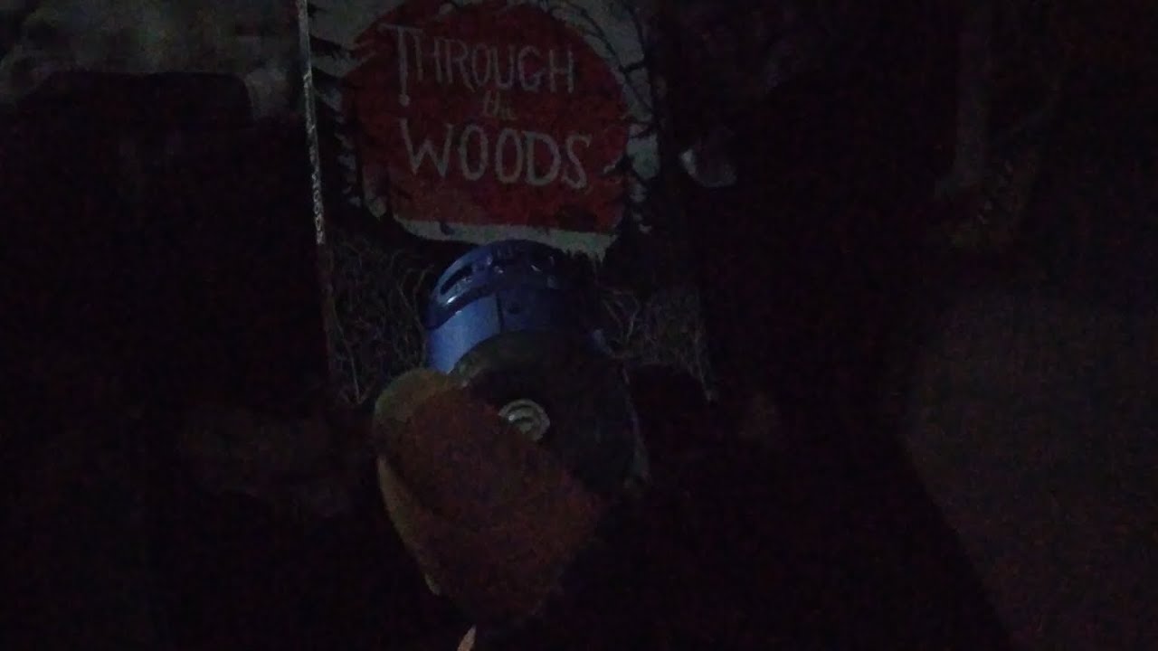 Through The Woods 🎑 - YouTube