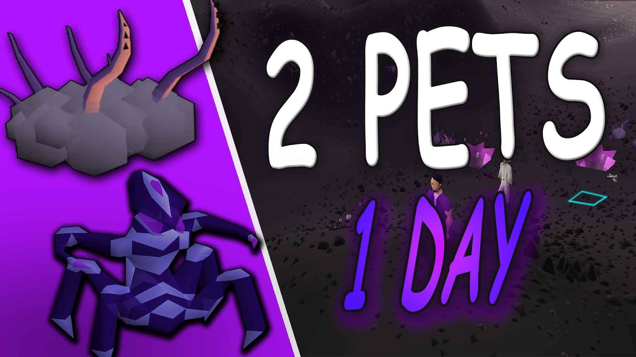 OSRS 2 Chaos Elemental / Sire Pet Same day - YouTube