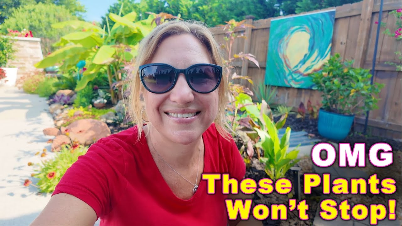 Top 7 Plants That Reseed, Re-root & Multiply | Garden Once, Enjoy ...