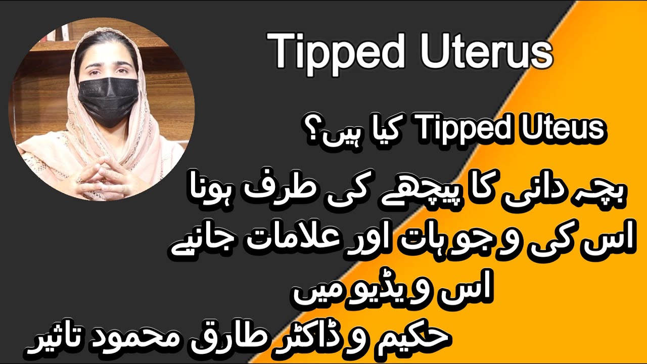 Tipped Uterus | Bacha dani ka pechy hona | Anteverted Uterus /Female ...