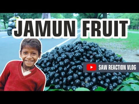 Jamun Fruit SWEET FRUIT JAM Recipe Cooking in | Village 100kg JAVA ...