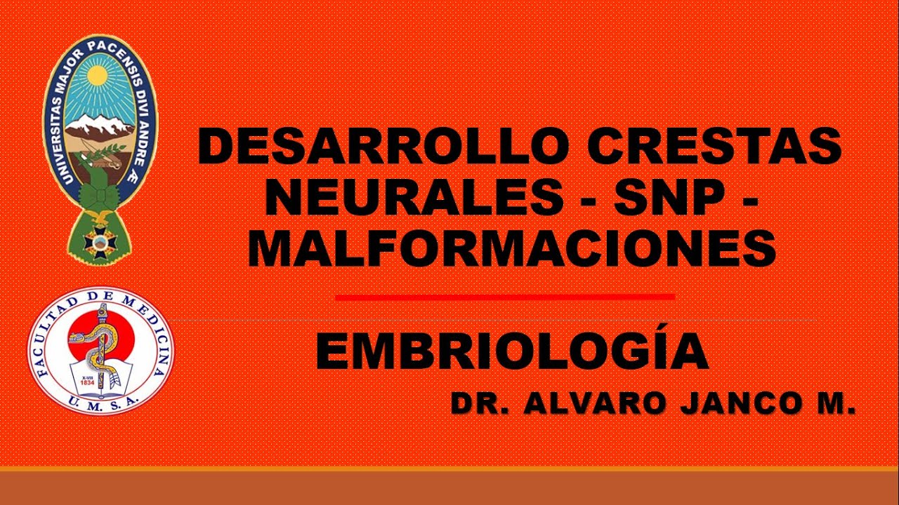 DESARROLLO CRESTAS NEURALES - SNP - MALFORMACIONES Dr. ALVARO JANCO M ...