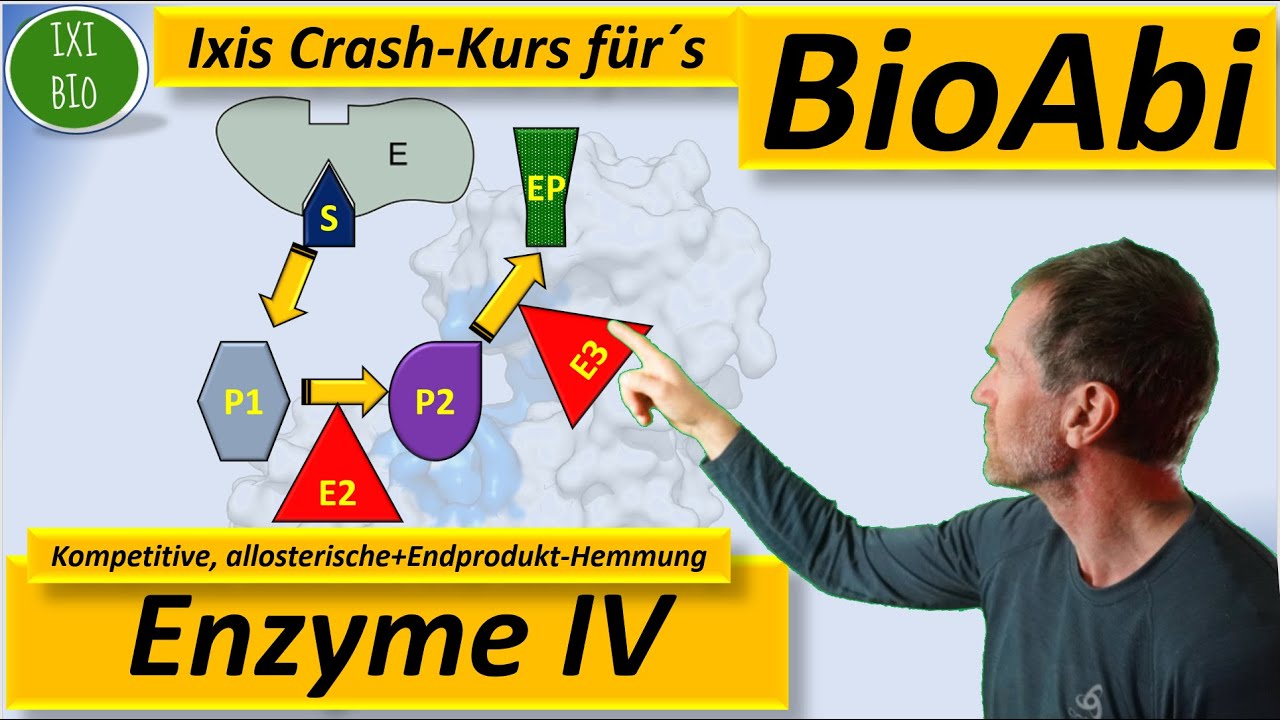 Enzyme 4: Anwendungsaufgaben kompetitive Hemmung, allosterische Hemmung ...