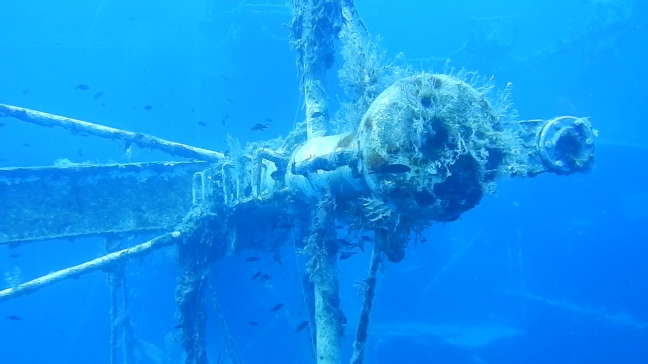 Diving excursion with Liamis Dive Center - Kos 2017 - YouTube