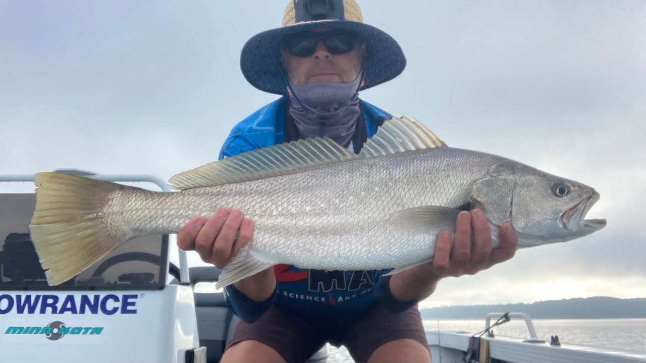 Catching Mulloway/Jewfish, Bream, Flathead in Lake Macquarie - YouTube