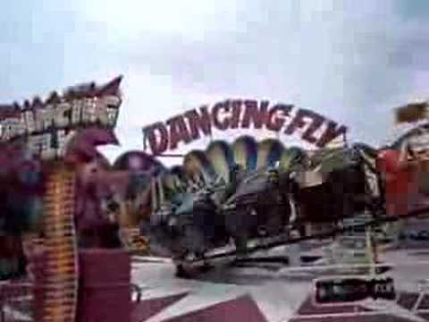 Dancing Fly - YouTube