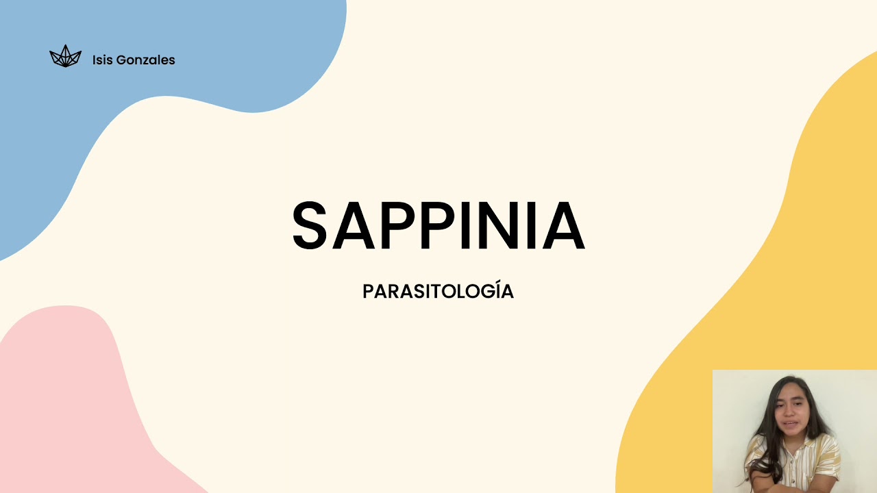 Tema Balamuthia sp. y Sappinia sp. - YouTube