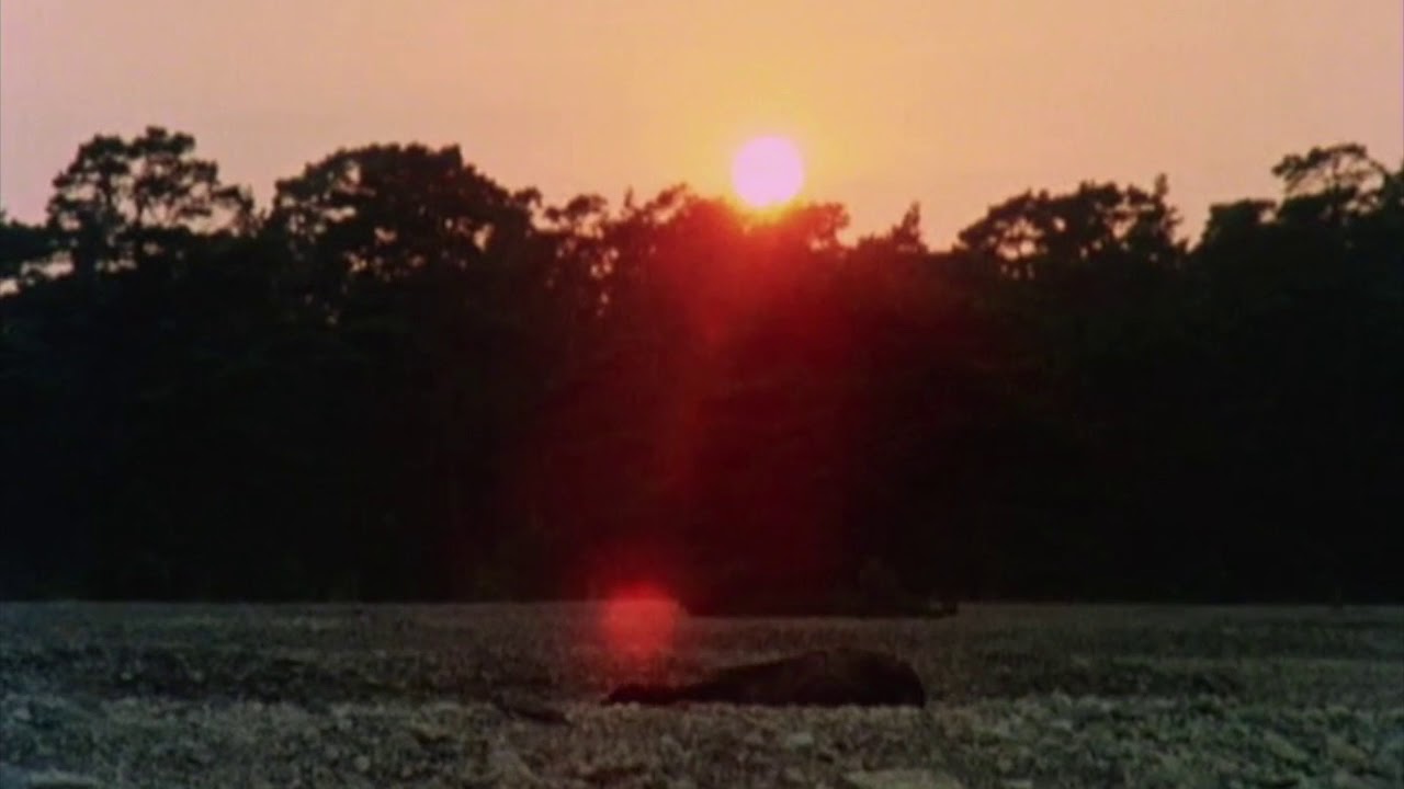 CFCF - Lighthouse on Chatham Sound - YouTube