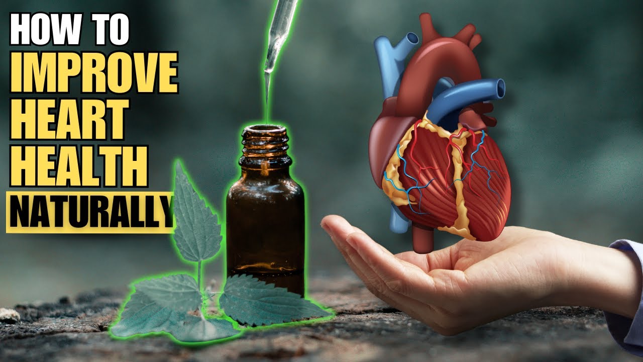 How to Improve Heart Health Naturally? Expert Advice & Easy Steps 🤔♥😮 ...