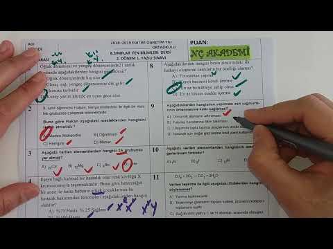 2018-2019  2 DÖNEM 1 FEN YAZILI SORULARI