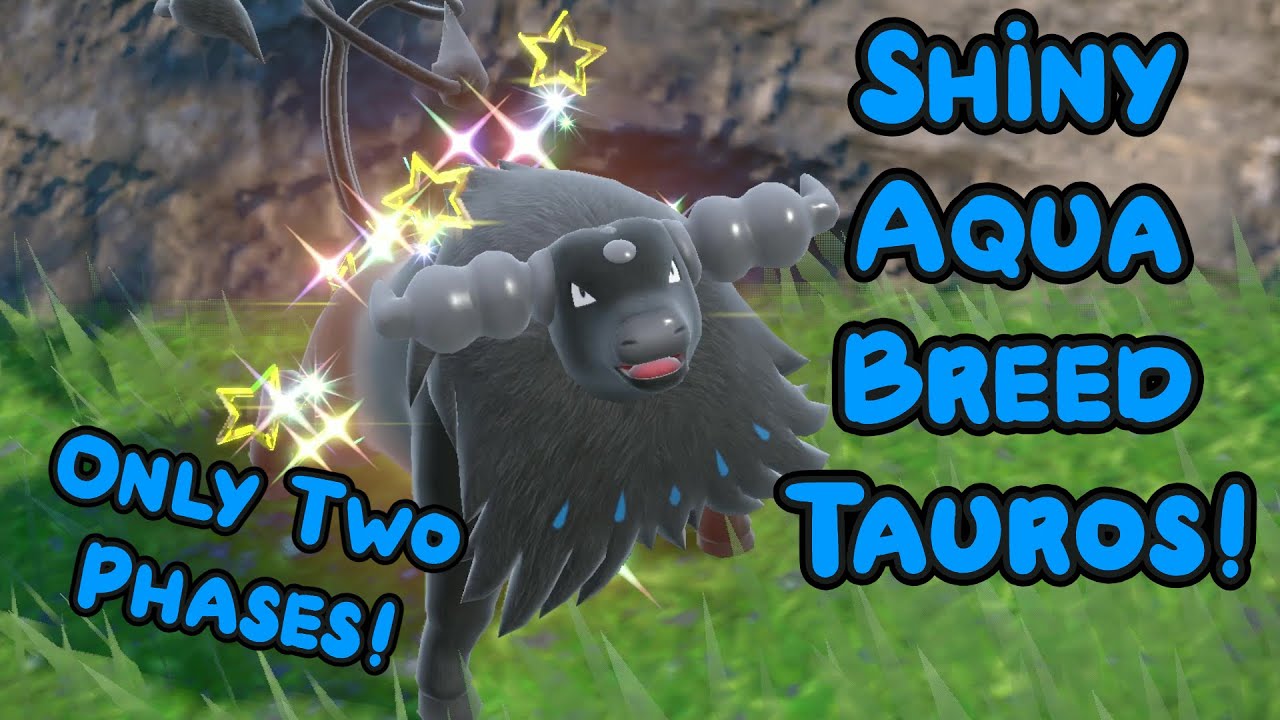 Shiny Aqua Breed Tauros After Only 2 Phases! - Pokemon Violet - YouTube