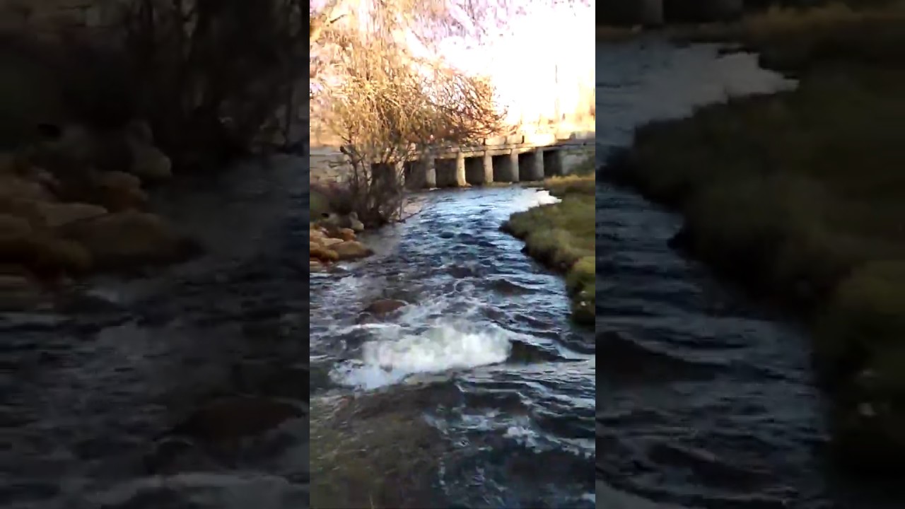 Río Alberche en el puente Herrán. En San Martín de la Vega del Alberche ...