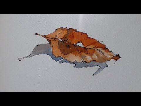 Line and Wash painting of a leaf and shadow using just 2 colours ...