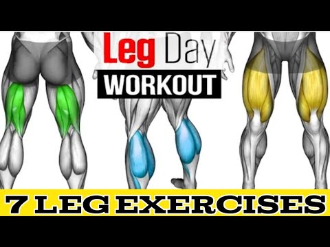 Full LEG Muscle Transformation 8 Best Exercises - For Huge Leg # Pain ...