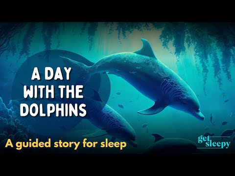 Fall Asleep FAST with a Bedtime Story | A Day with the Dolphins | CALM Down with Bedtime Story