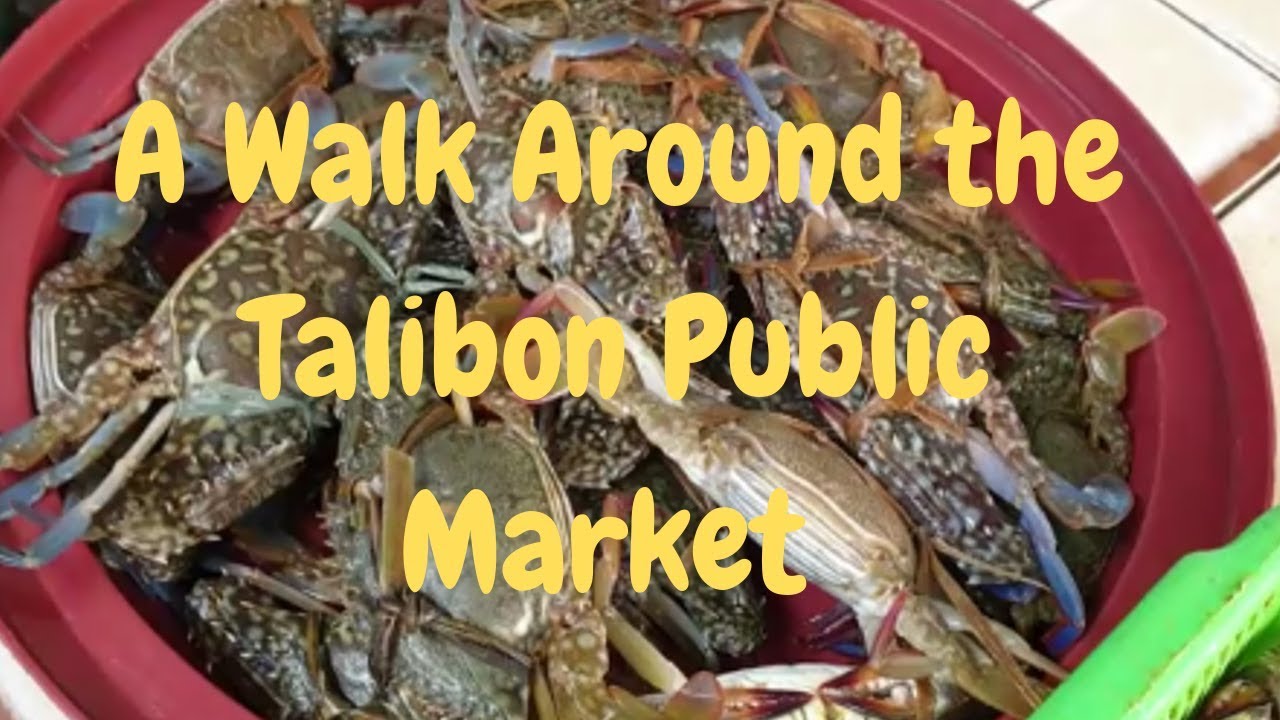 Walk Around Talibon Public Market - YouTube