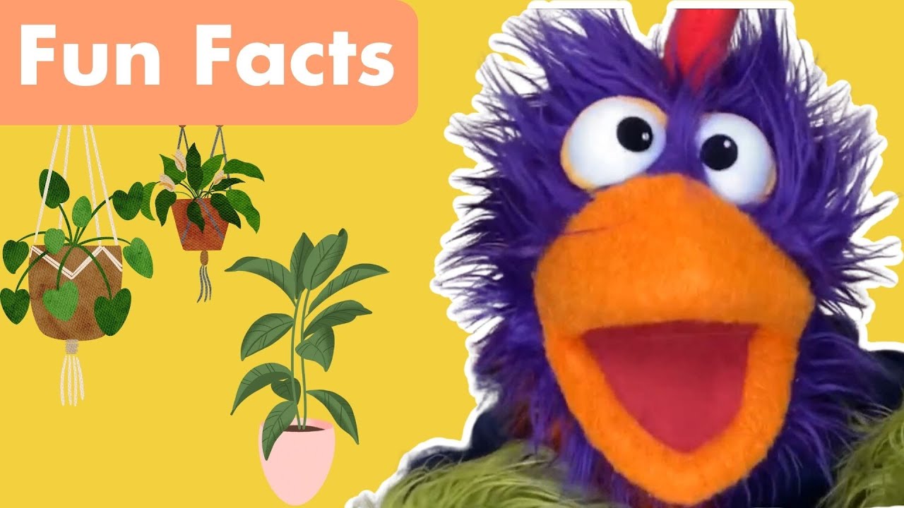 Message from Moby -Plants - YouTube