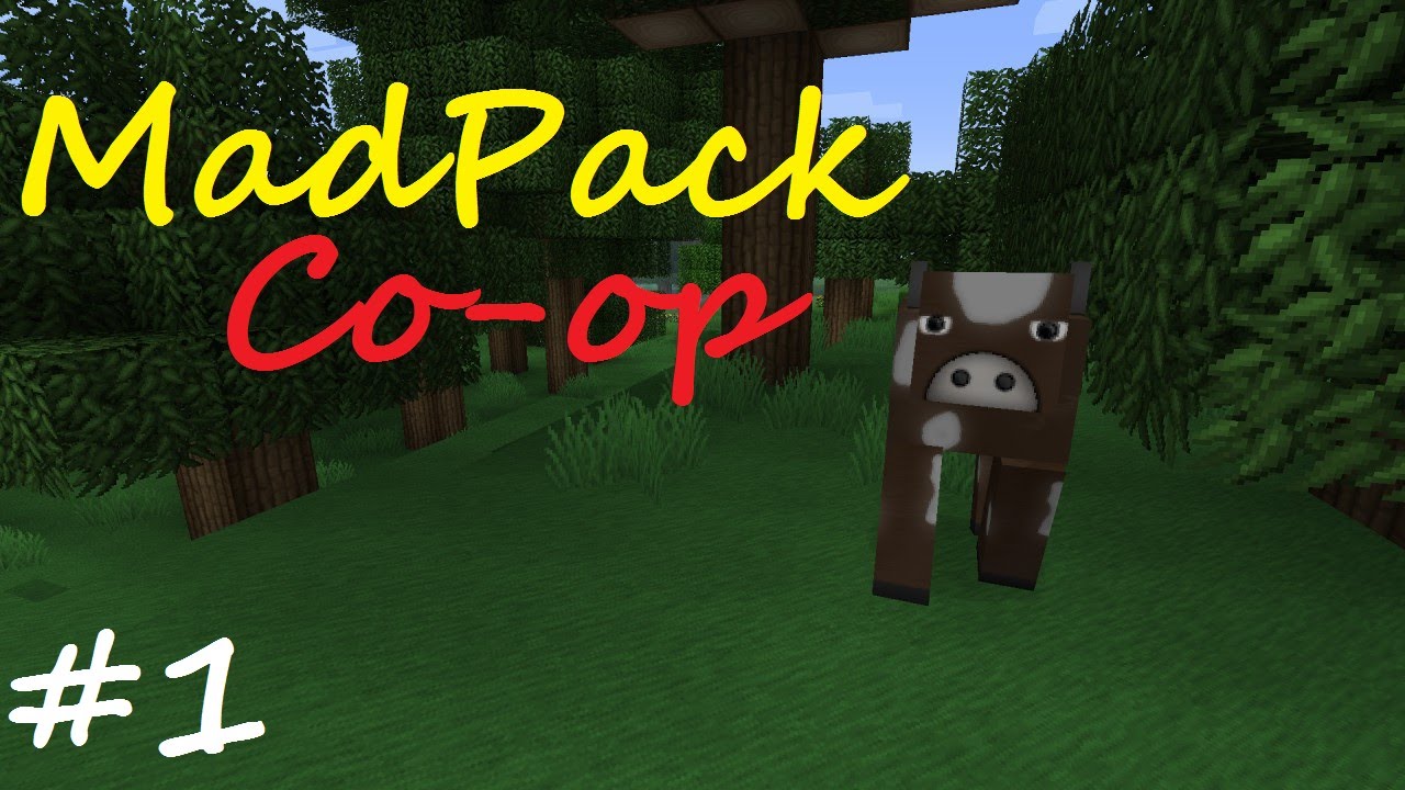 Minecraft - MadPack Part 1 - The Most Important Seed - YouTube