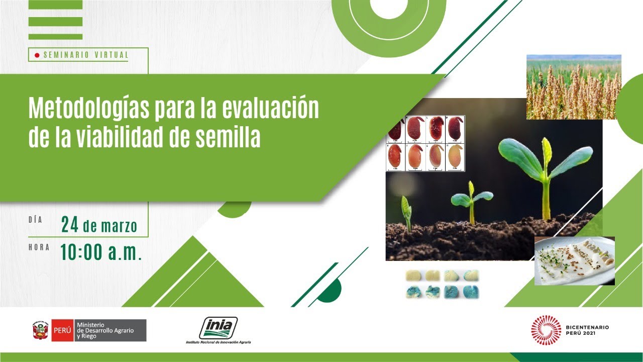 Metodologías para evaluar la viabilidad de la semilla - YouTube