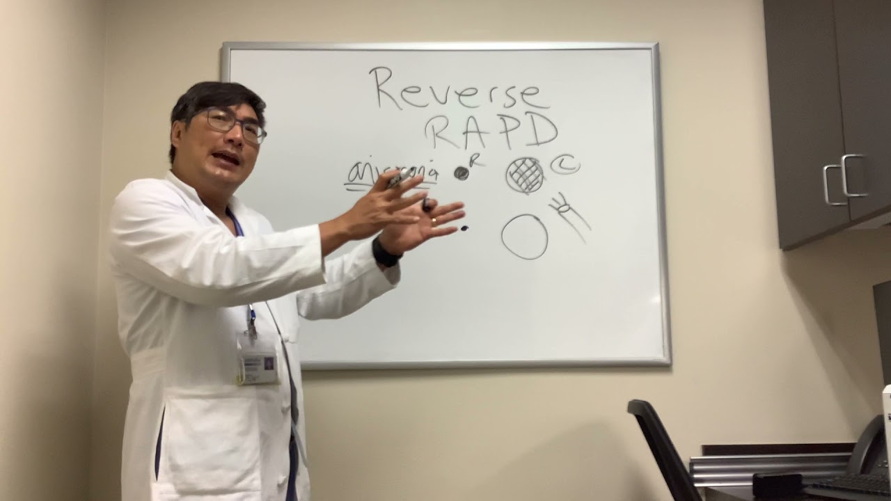 Reverse RAPD - YouTube