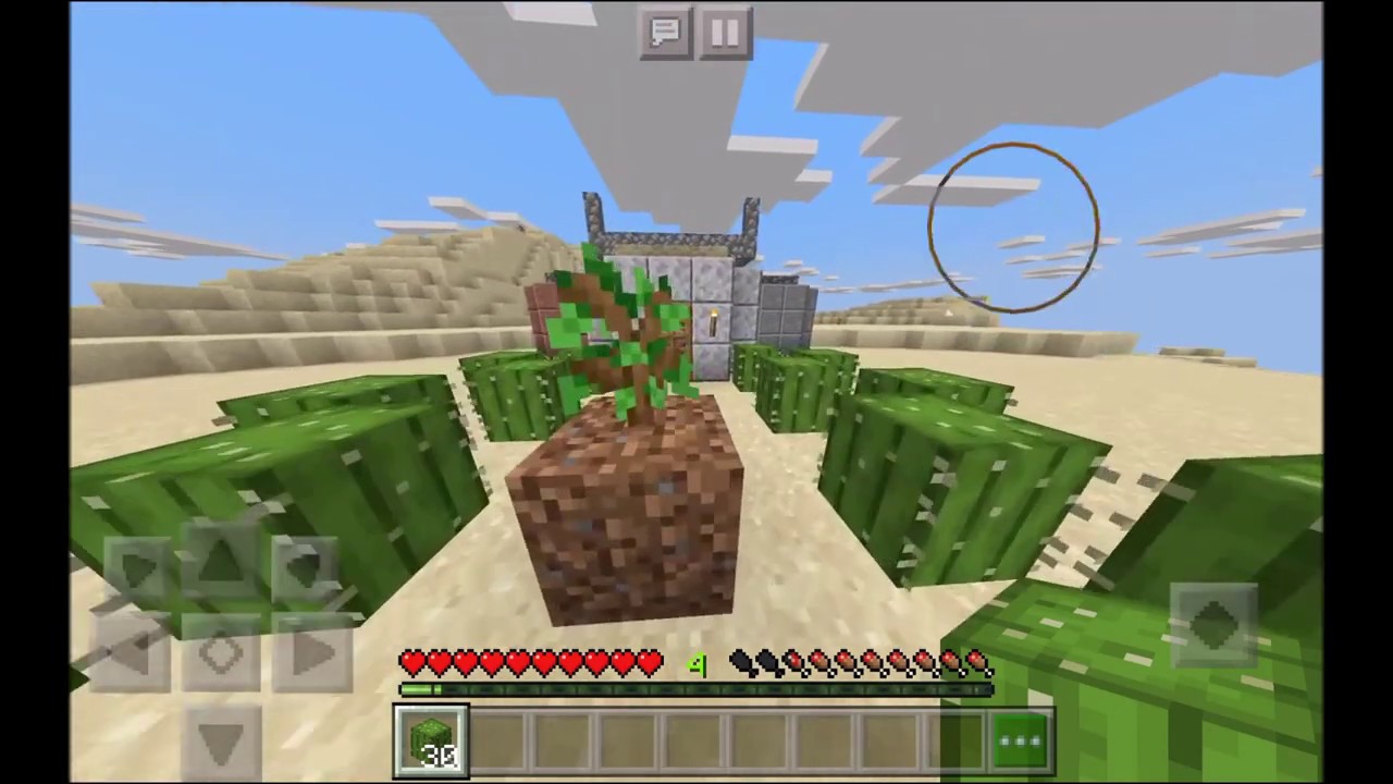 Minecraft | Desert Farming - YouTube