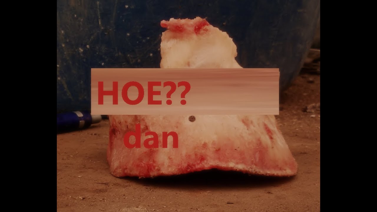 HOE dan - YouTube