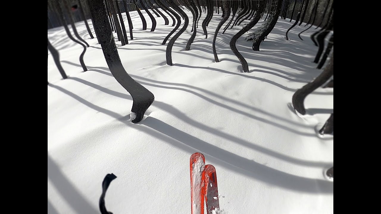Sendy Skiing at Lookout Pass Mountain - YouTube