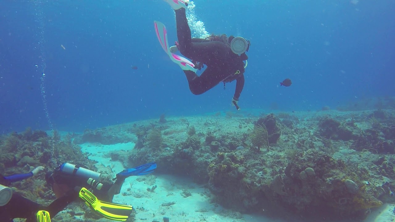 Columbia Reef Cozumel Mexico - YouTube