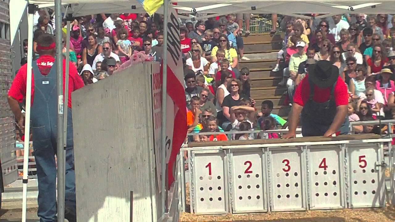 Pig Races at Wisconsin State Fair 2012 - YouTube