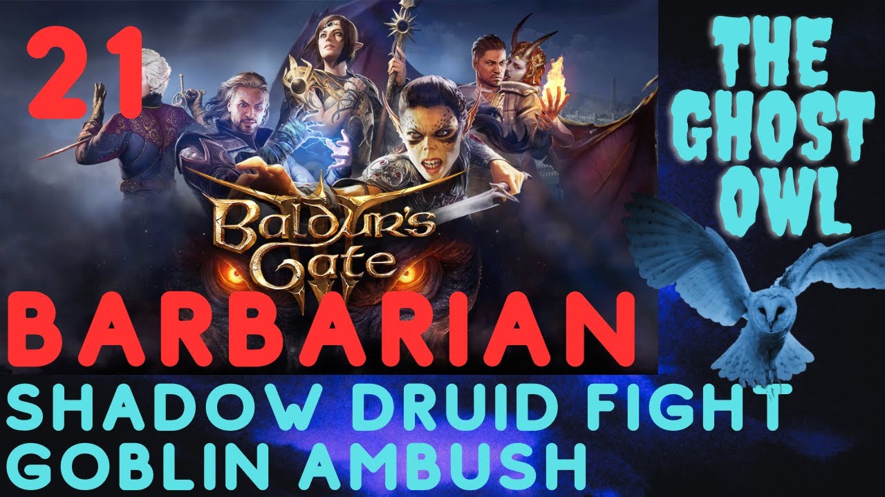 Baldurs Gate 3 Beserker Barbarian First Full Playthough Shadow Druid ...