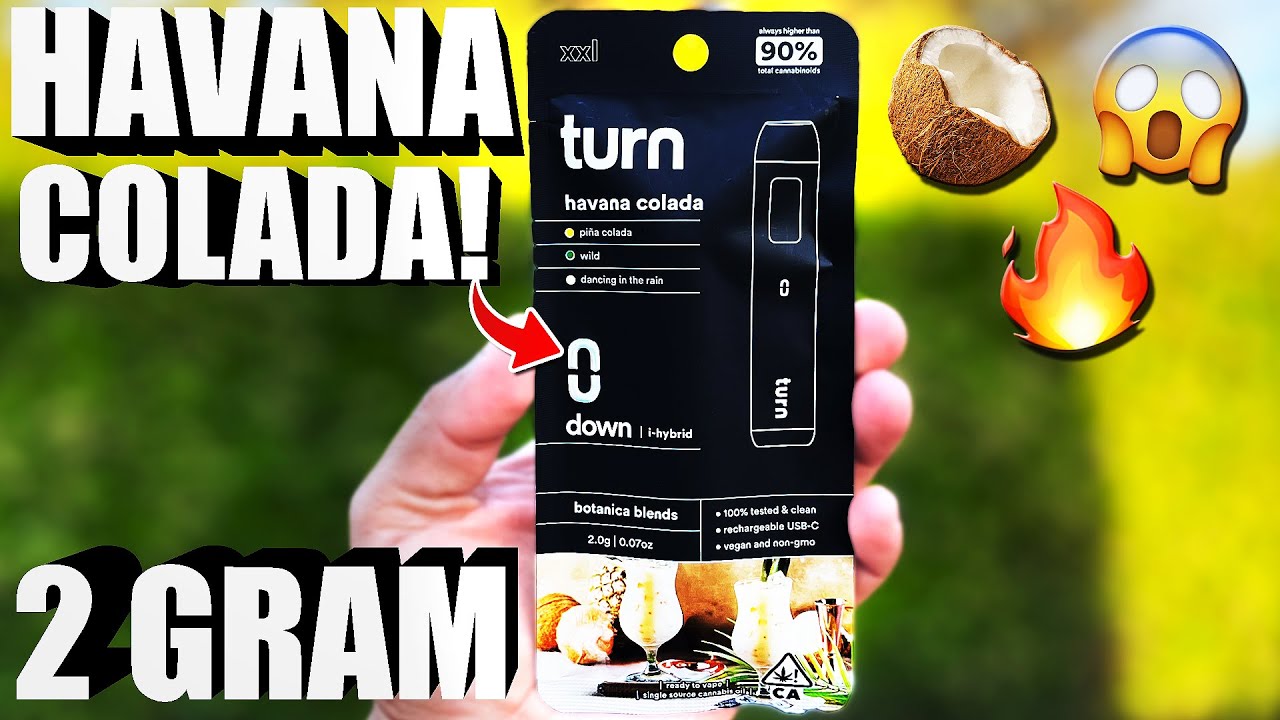 MY FIRST 2 GRAM DISPOSABLE! | TURN DOWN HAVANA COLADA - YouTube
