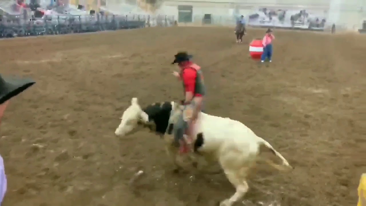 Challenge match up between bulls and man - YouTube