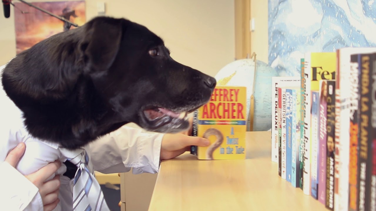 Dog Librarian - YouTube