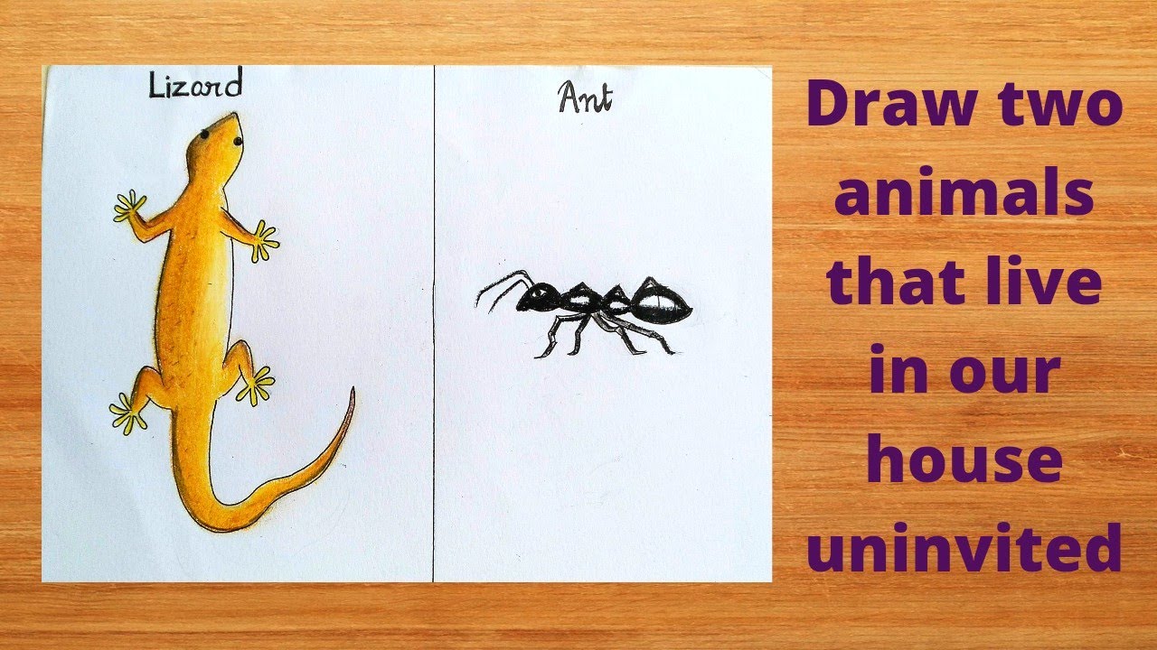 Draw the pictures of any two animals that live in our house uninvited ...