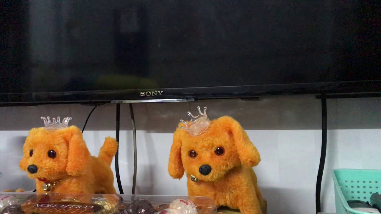 NAiS MICRO-IMAGECHECKER M200 - YouTube