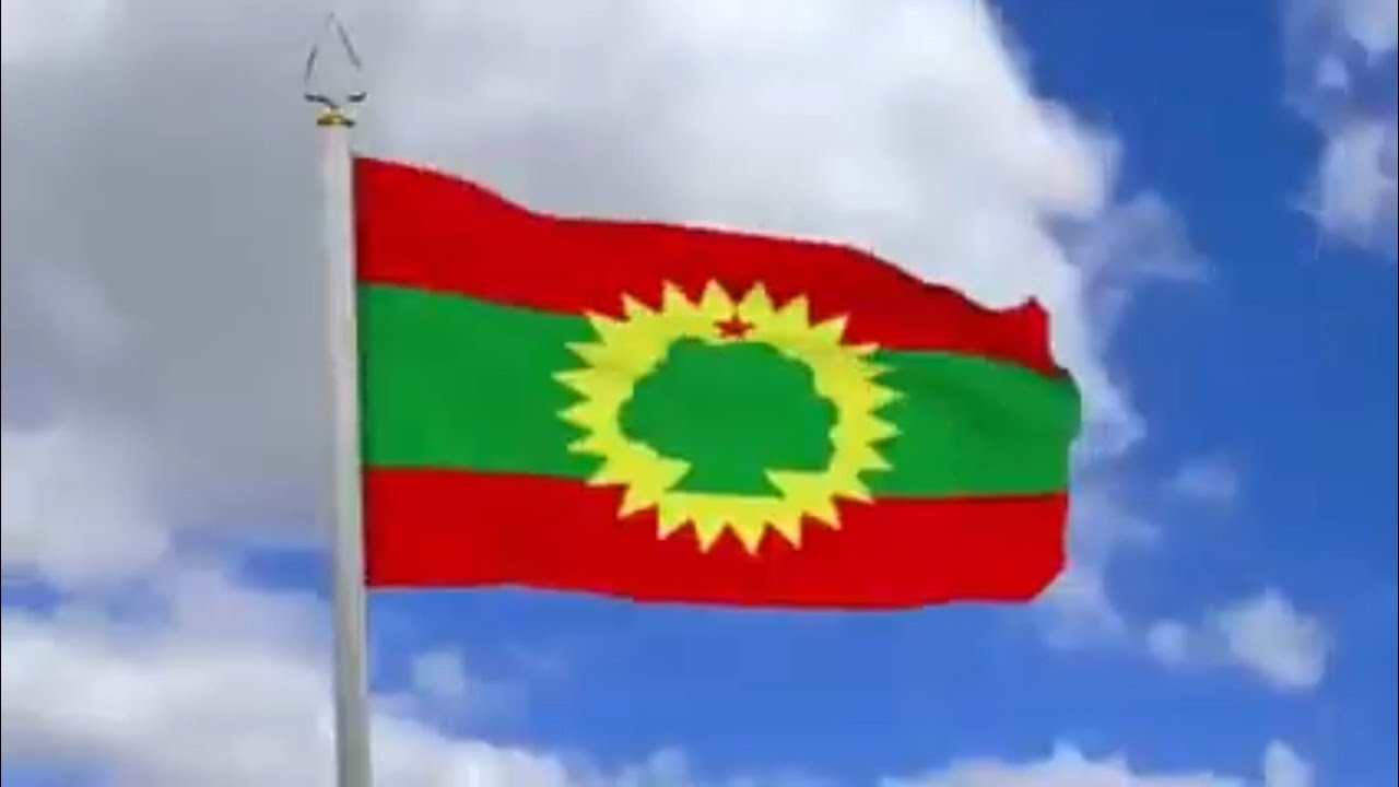 Sabboonaa Tafarraa new oromo music_2022(( W.B.O WaliinAni lola kajele ...