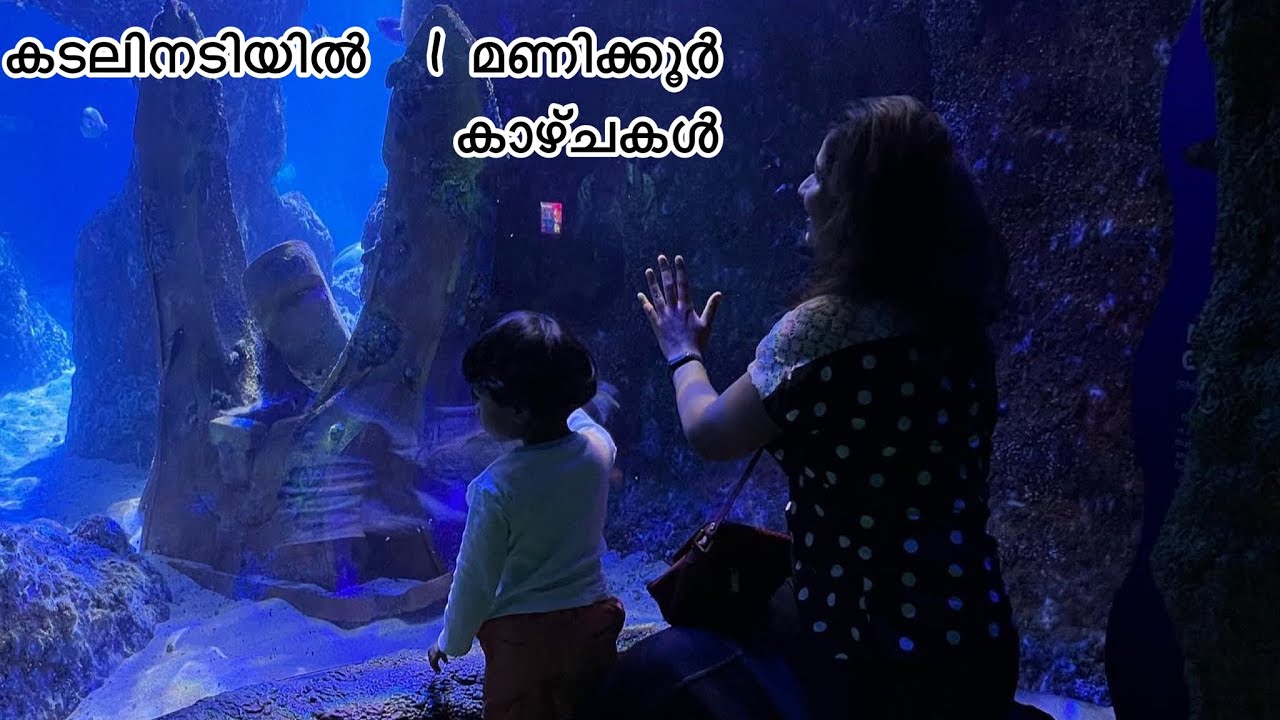 Our Sea world experience in uk Manchester Sea life - YouTube