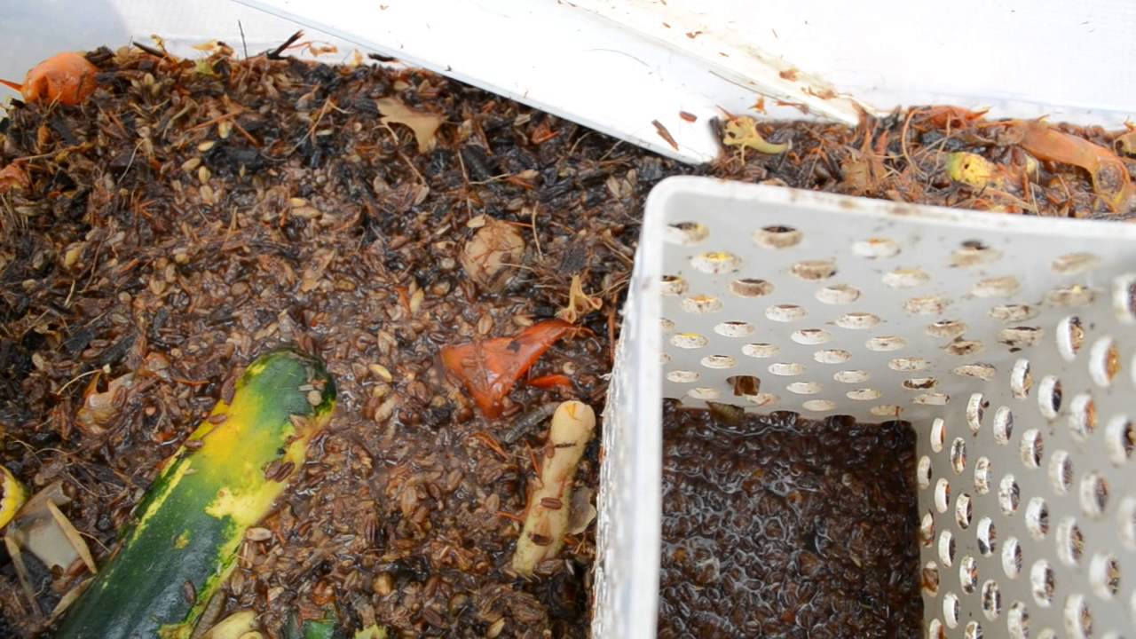 storage tote BSF composter update May 29 2013 part 1 - YouTube