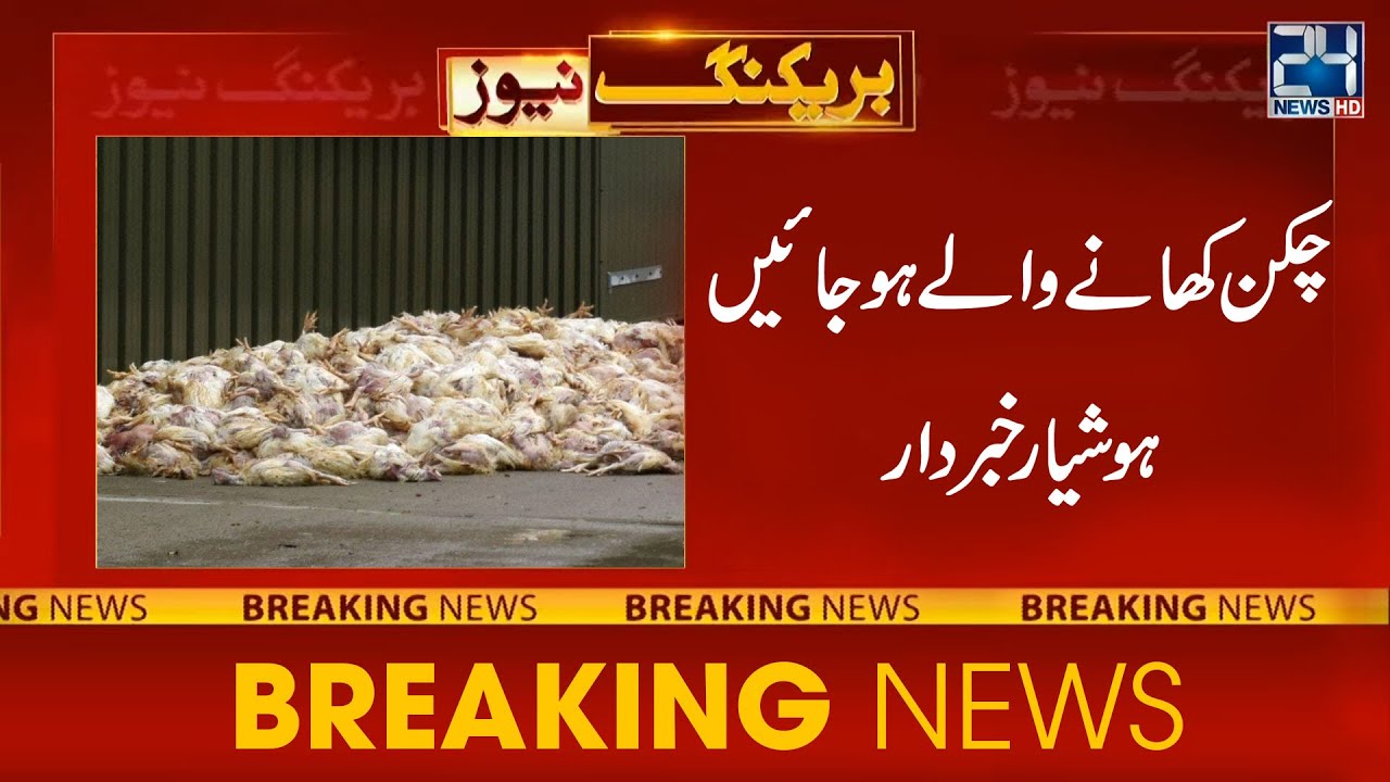 Big Reveal of Dead Chicken Meat | Breaking News - YouTube