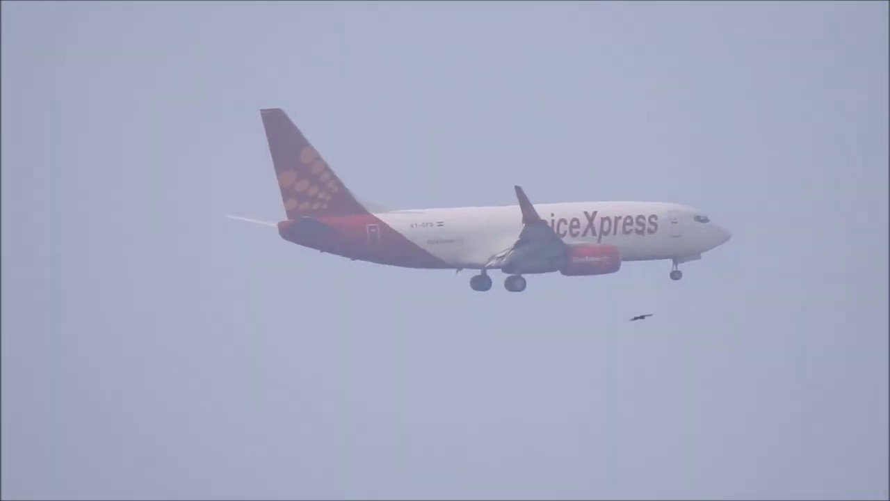 SpiceXpress 737-700 freighter over Chennai - YouTube