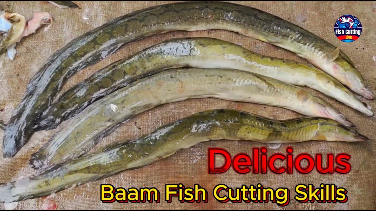How To Remove Baam Fish Skin l Tasty Big Eel Fish Fast Cutting And ...