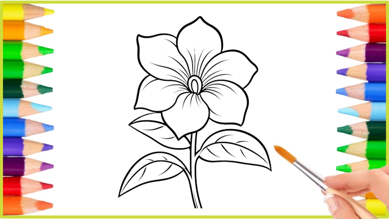 How to draw a flower Easy colourful flower drawing easy step by step ...