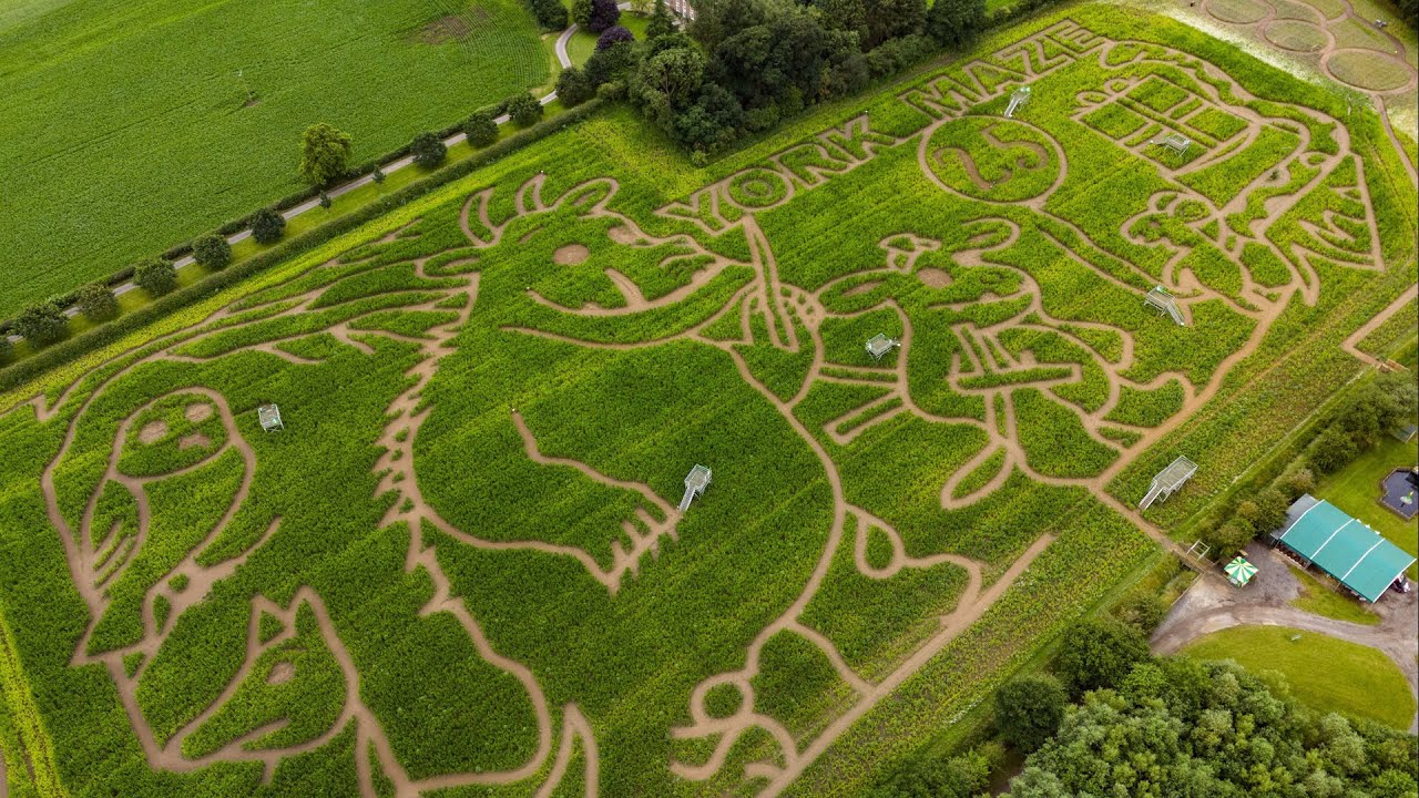 Stunning pictures show 15 acre maze shaped in the style of Gruffalo ...